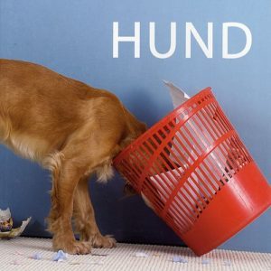 Hundeadfærdsbehandlere i København (hovedstadsområdet)